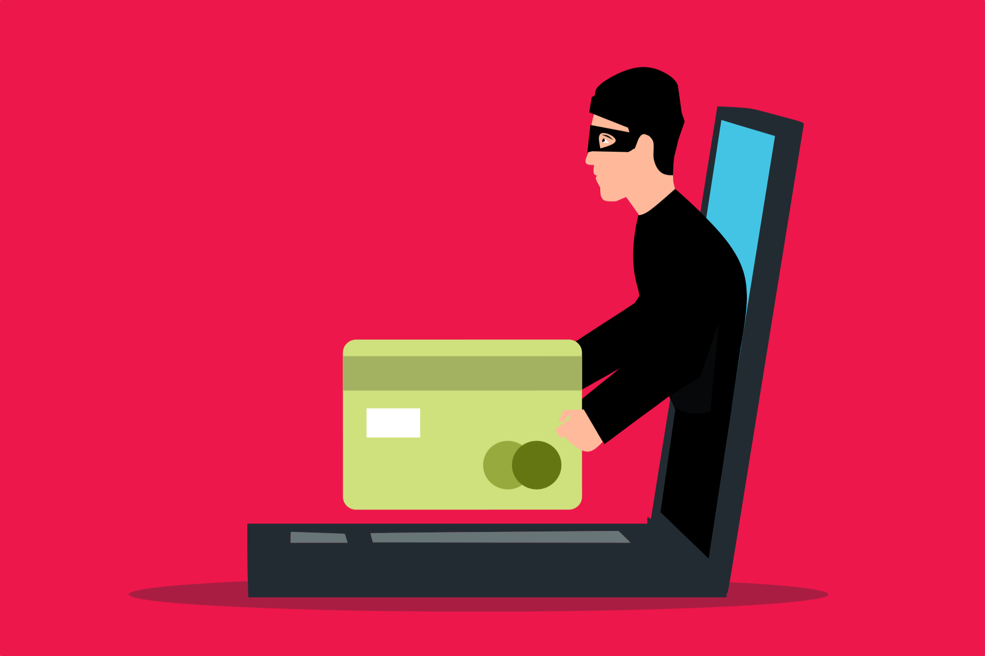 Credit Card Basics Zero Fraud Liability BestCards